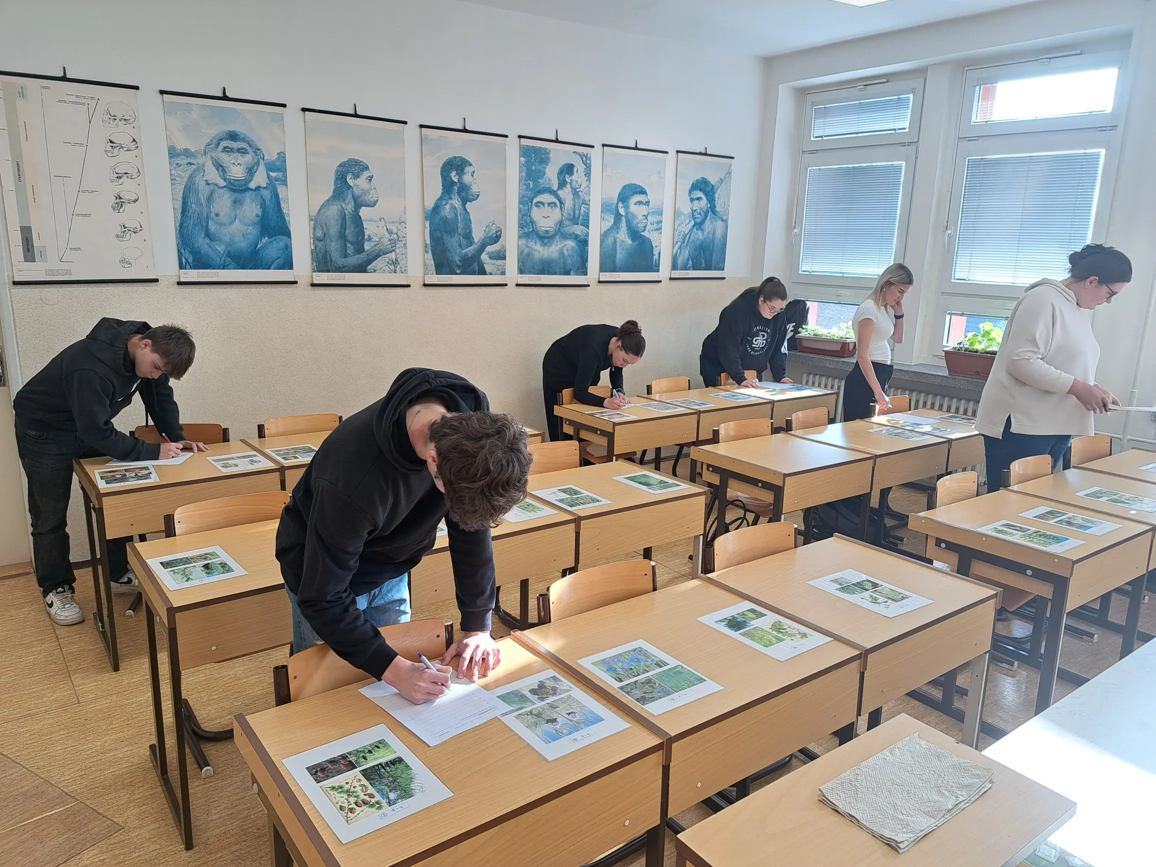 Biologická olympiáda – školní kolo kategorie A | Gymnázium Jana ...