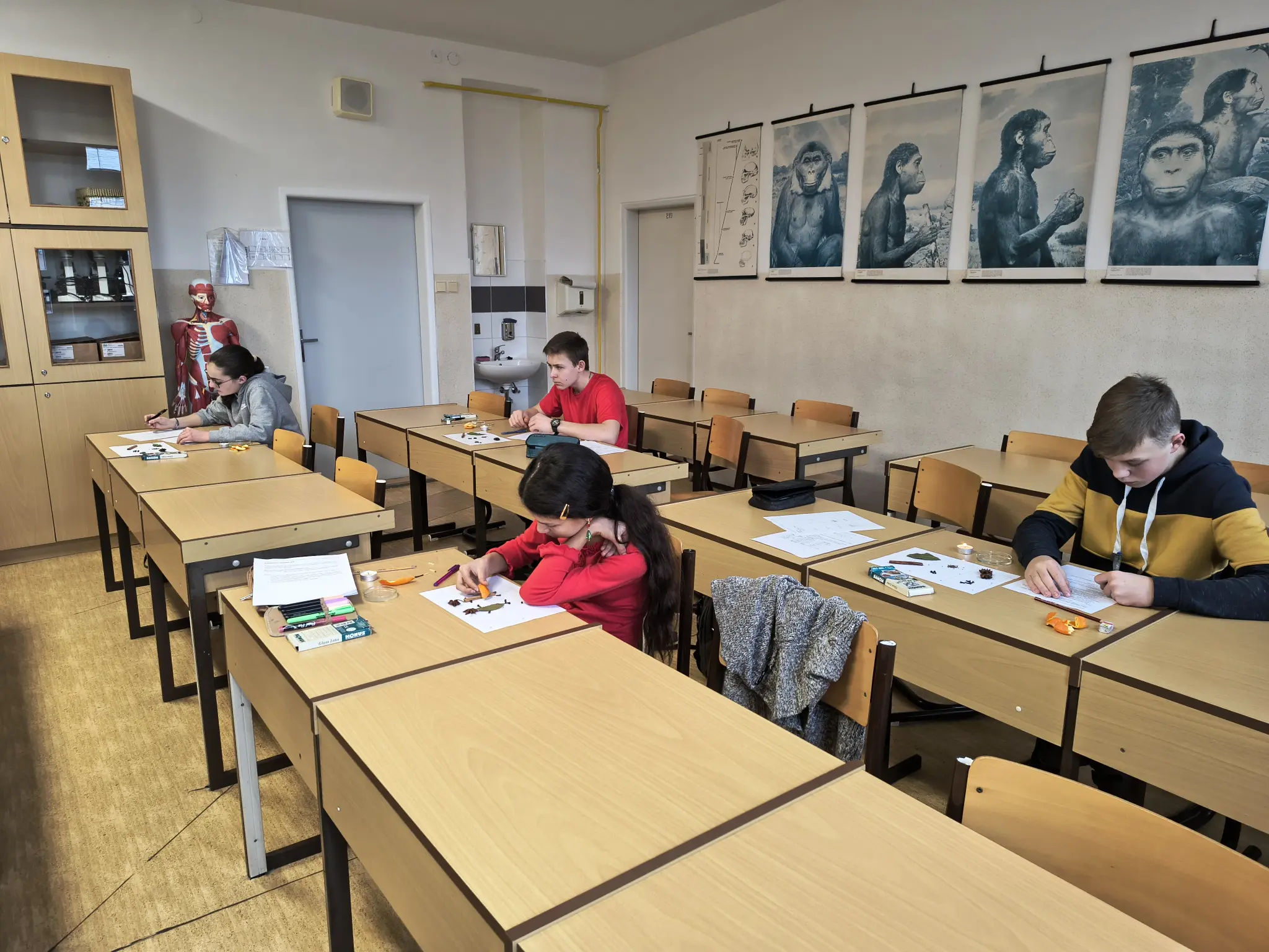 Školní kolo biologické olympiády v kategorii C | Gymnázium Jana ...